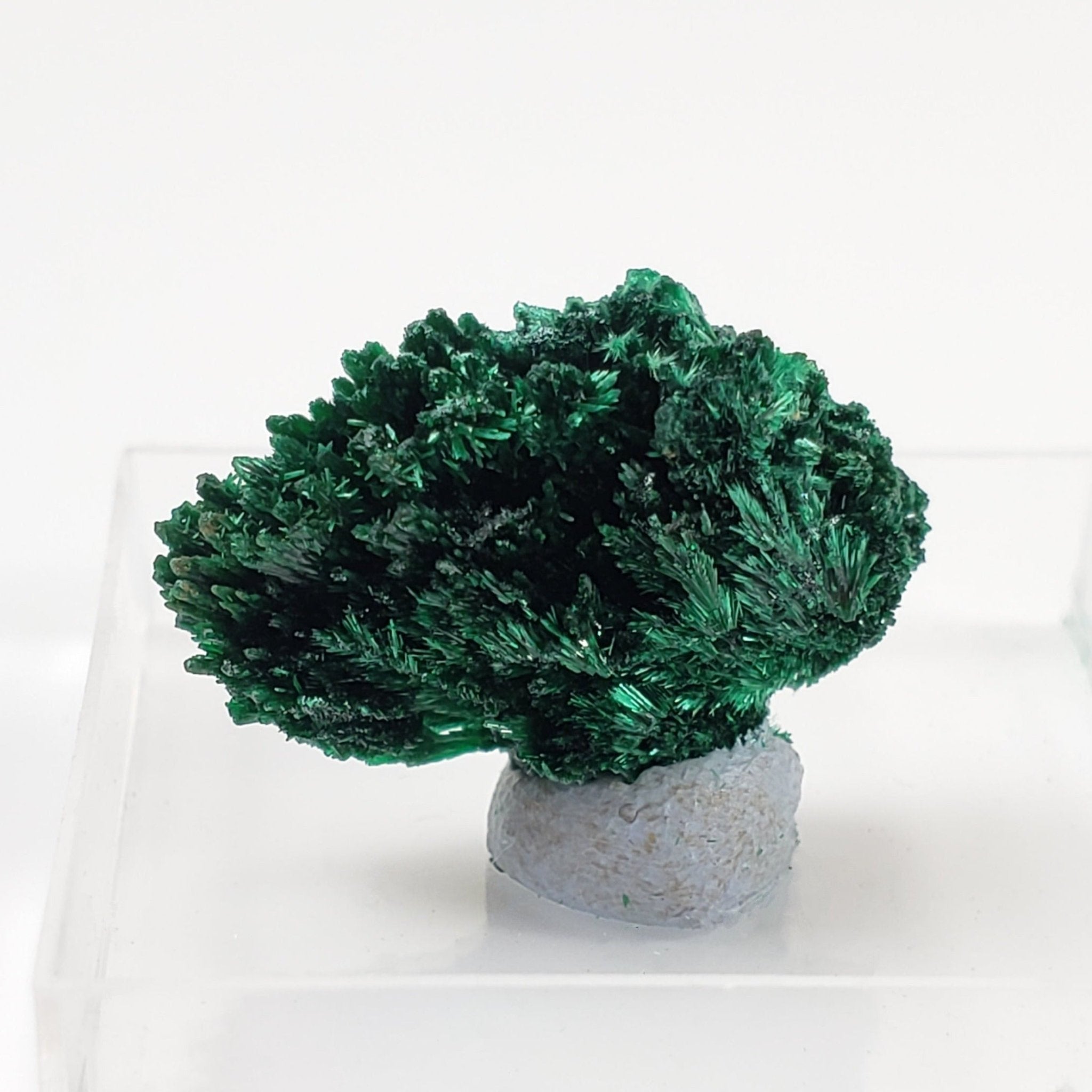 Fibrous Malachite | Perky Box Thumbnail Specimen | Shaba Copper Belt,