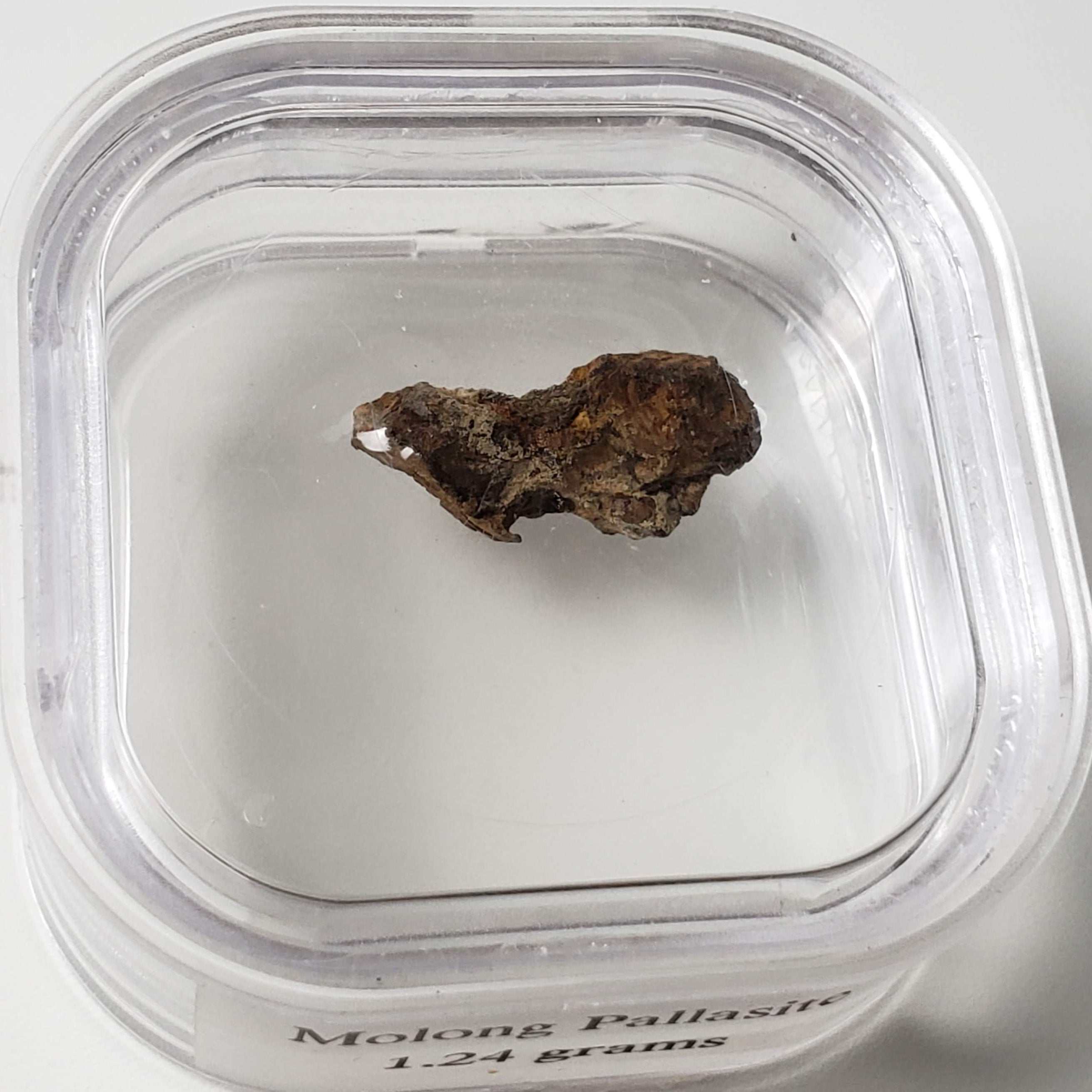 Molong Meteorite | 1.24 Grams | Fragment | Pallasite Stony Iron | Rare