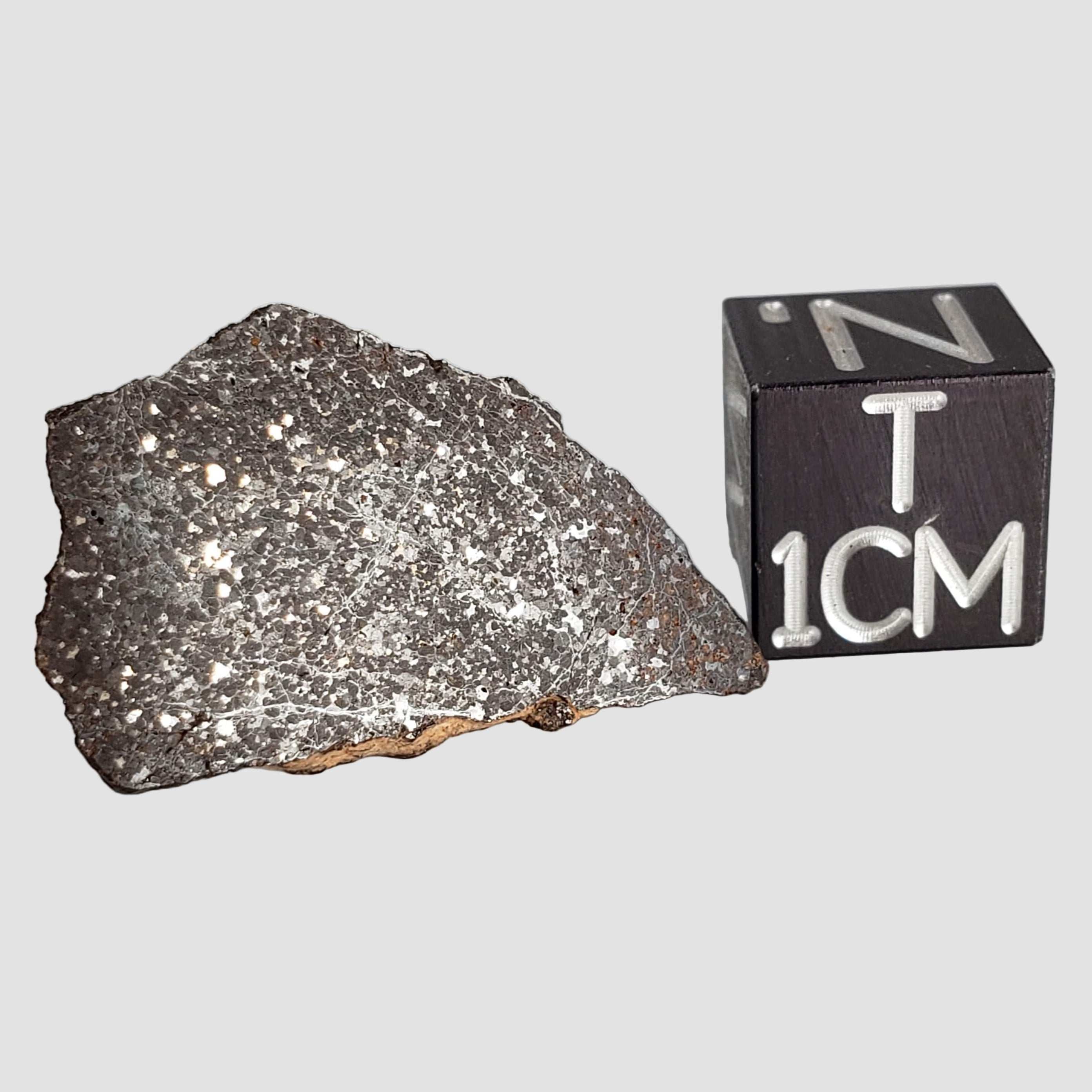 NWA 3133 Meteorite | 2.01 Gr | Slice | CV7 Primitive | One-of-a-kind R