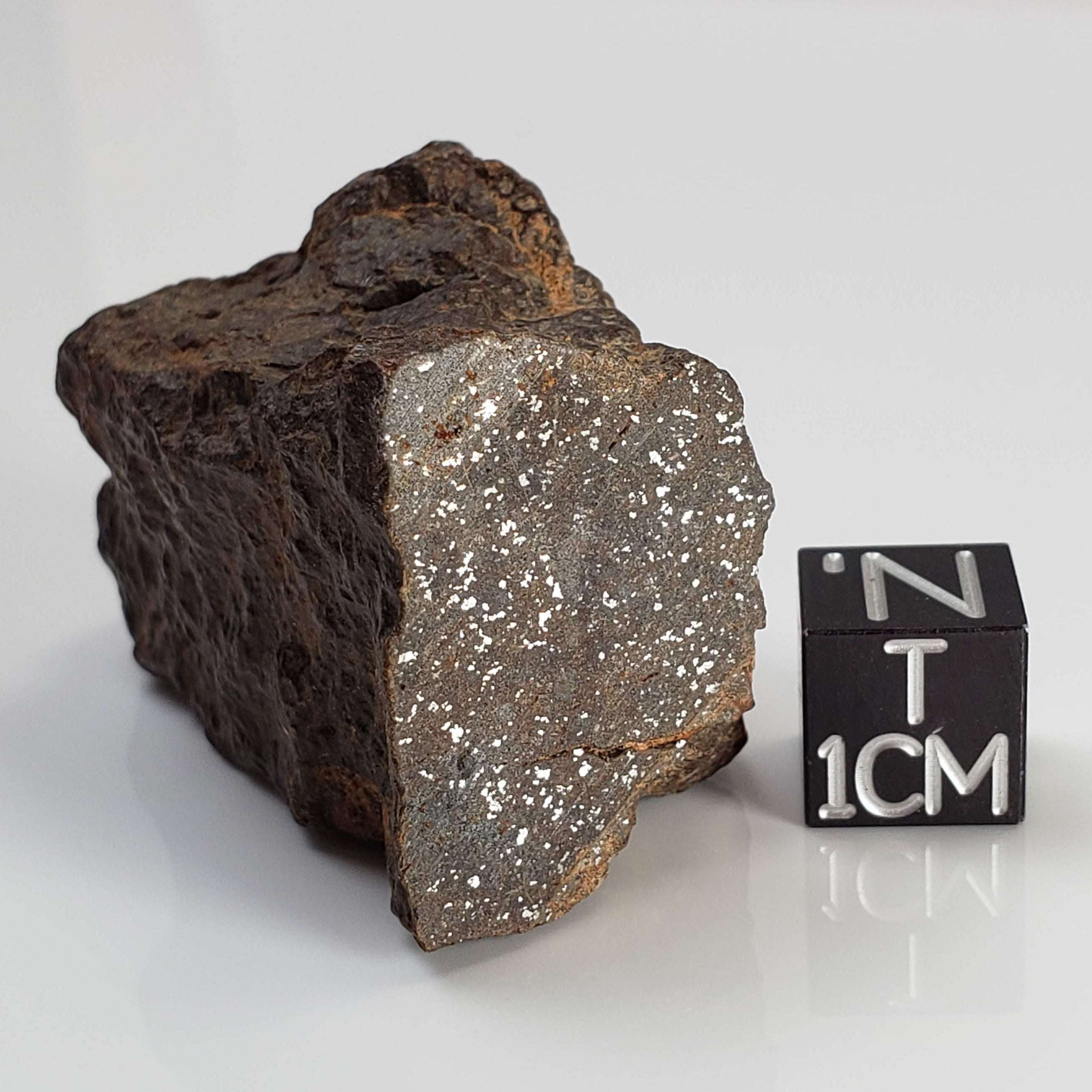 Northwest Africa NWA Meteorite | 53 Grams | End Cut | Sahara