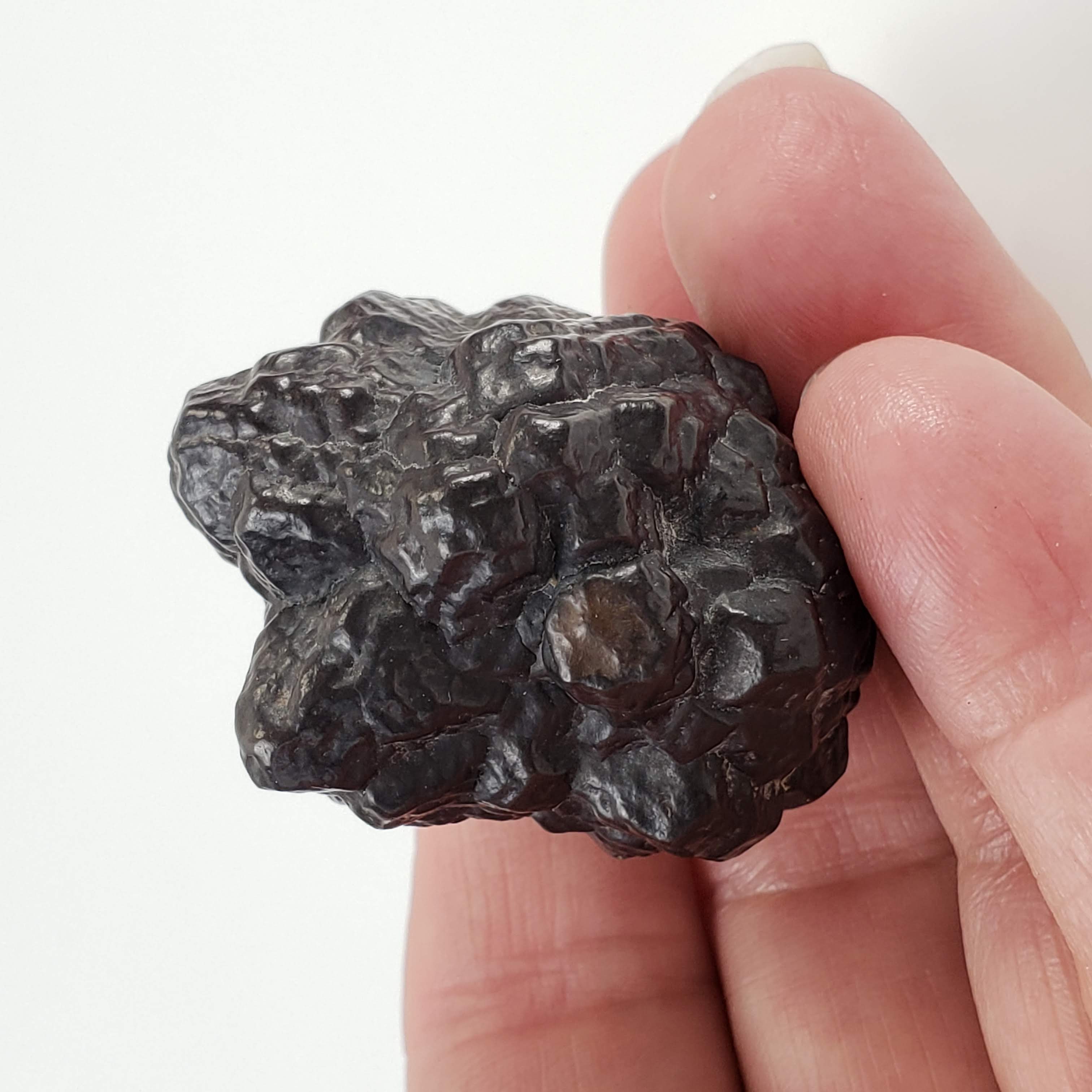 Pseudomorph Goethite After Marcasite | Prophecy Stone | 76.2 gr | Fara