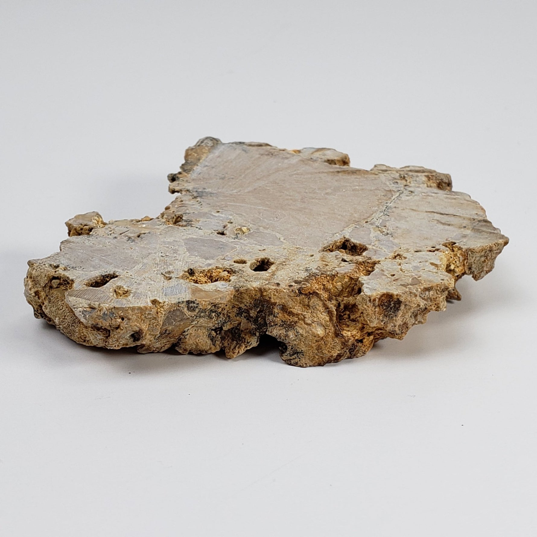 Impactite Fallback Breccia Steinheim Basin 77.2 gram Slice Ries, Germany