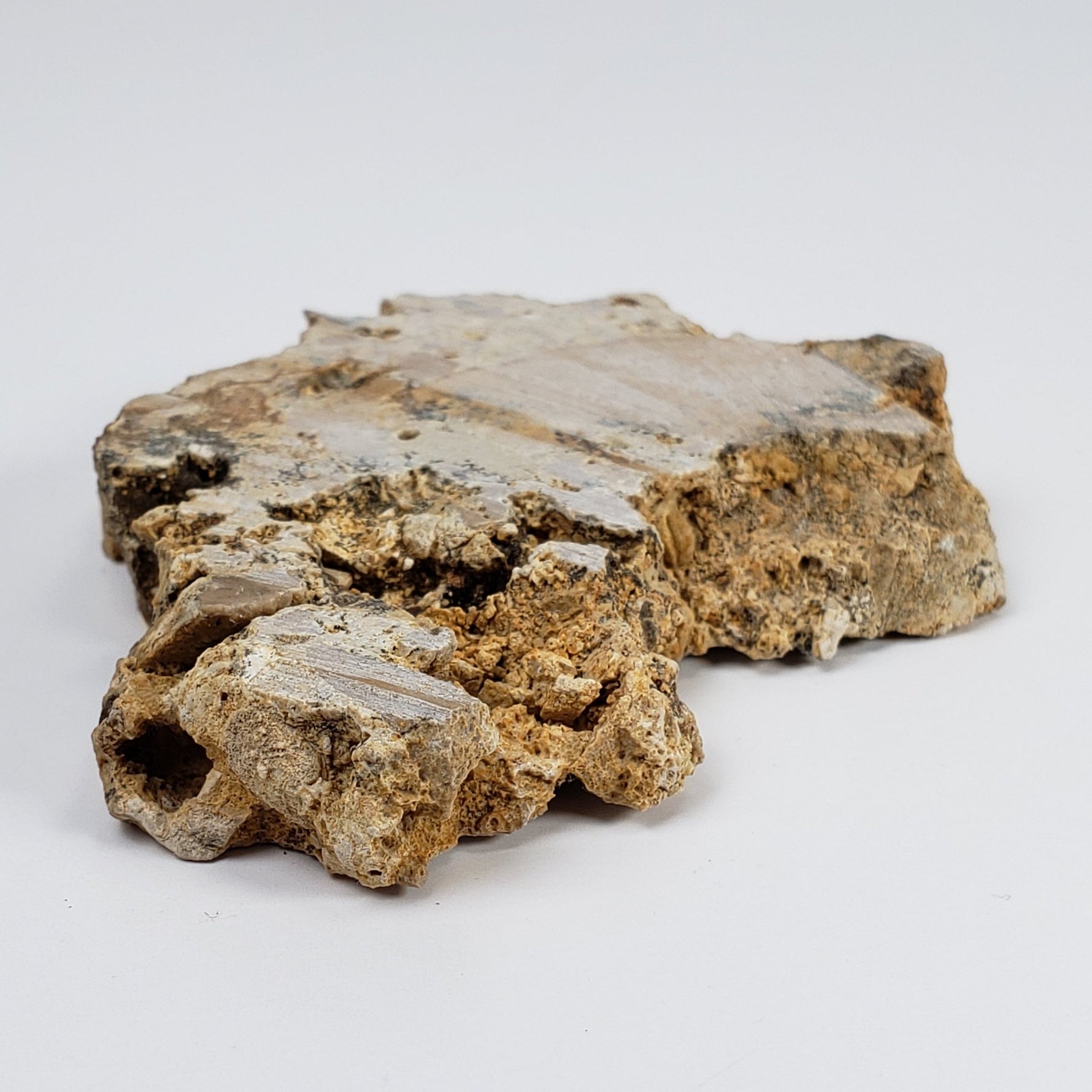 Impactite Fallback Breccia Steinheim Basin 77.2 gram Slice Ries, Germany