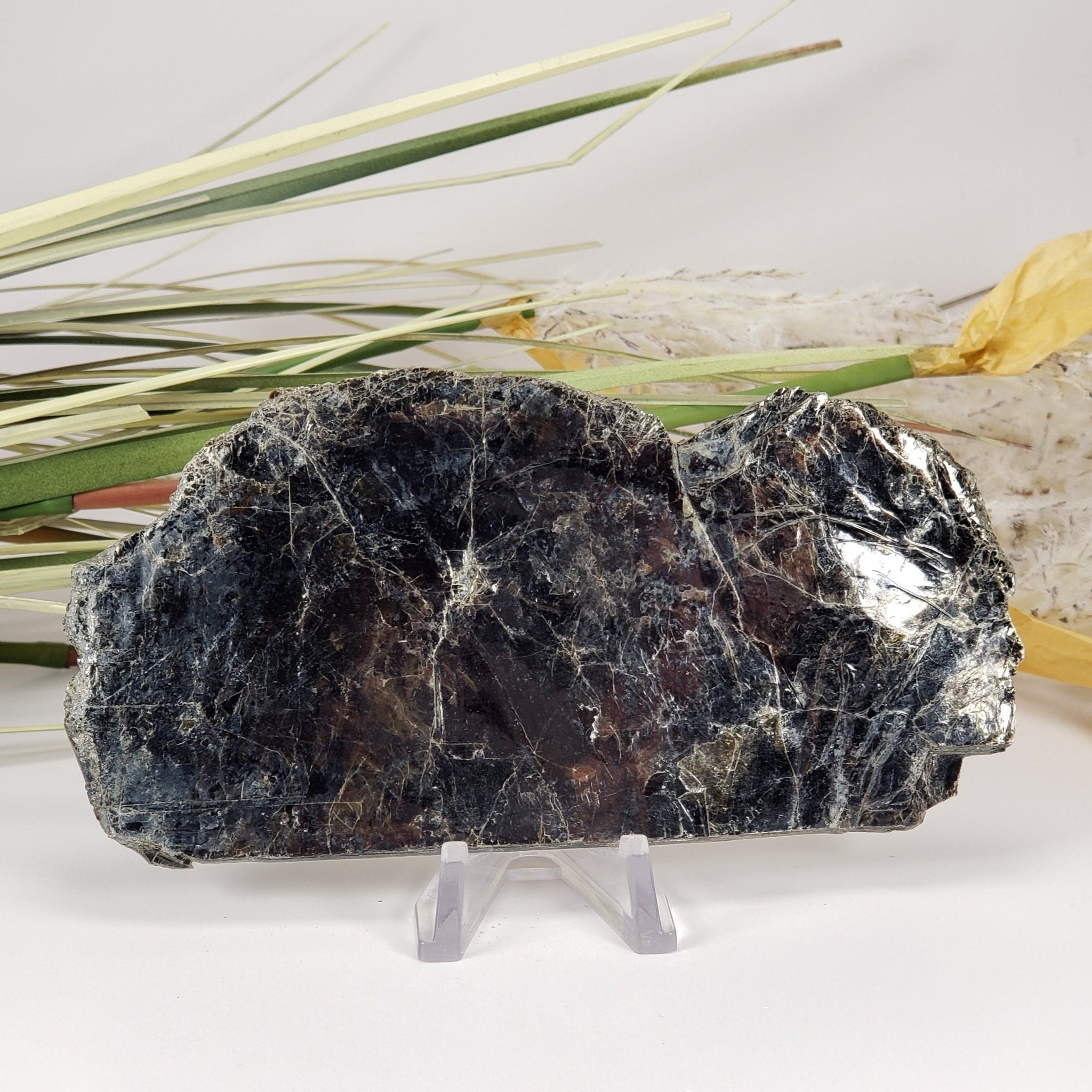 Biotite Mica Book | Black Crystal | 46.8 Grams | Ontario, Canada | SO2