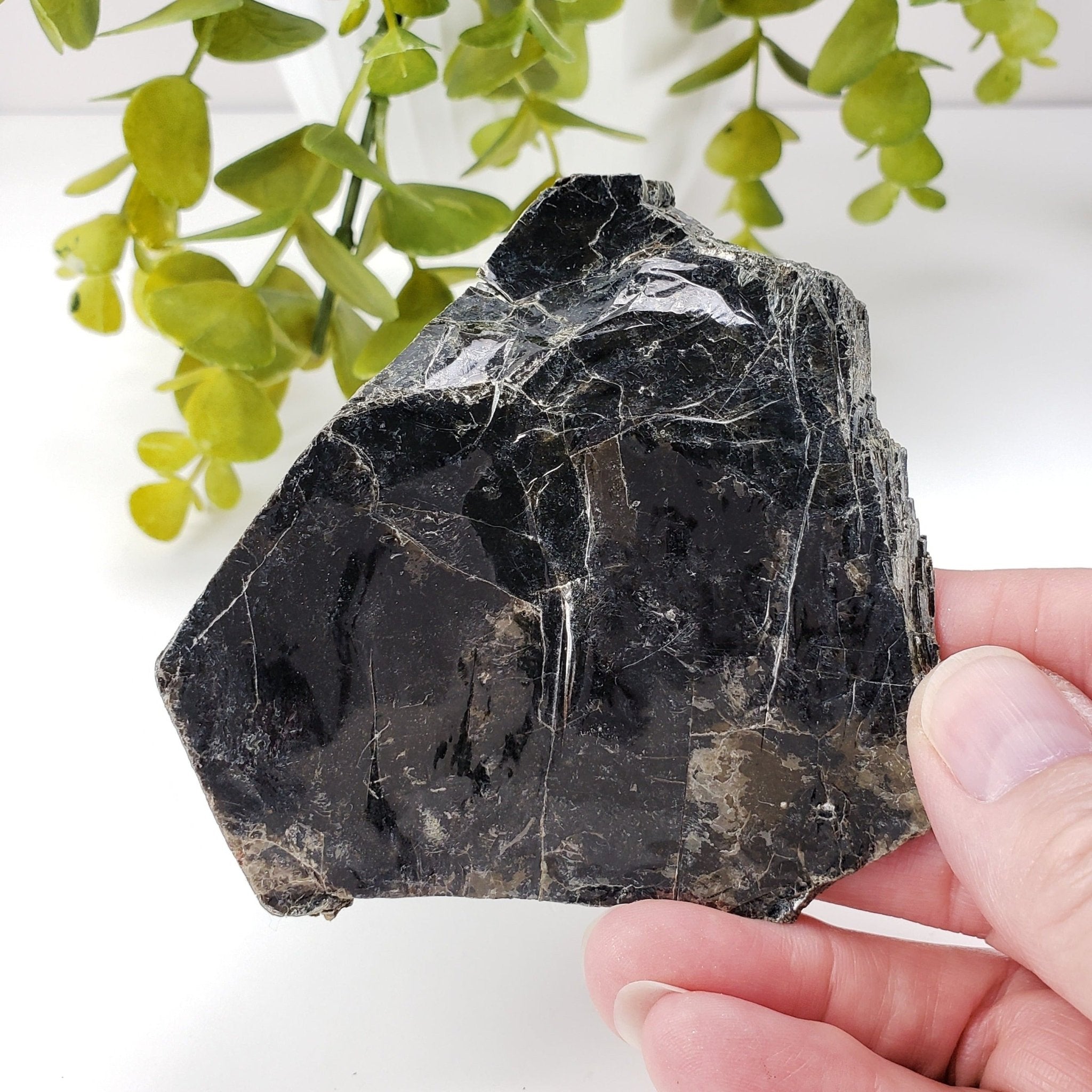Biotite Mica Book | Black Crystals | 47.7 Grams | Ontario, Canada | SO