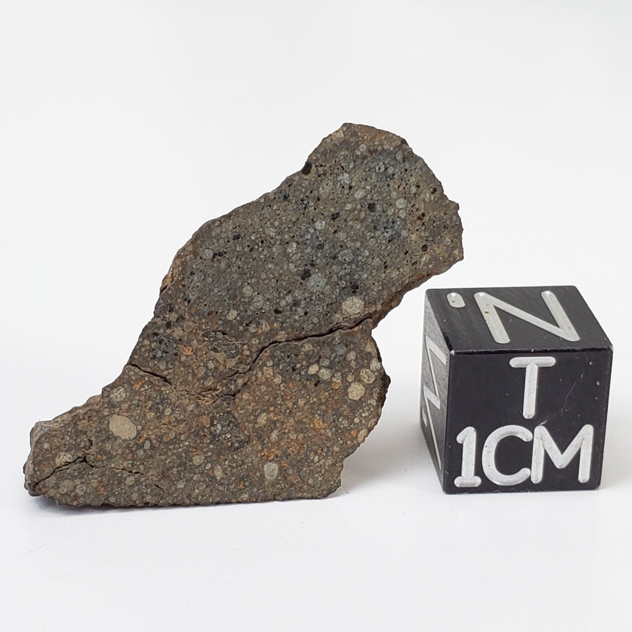 NWA 978 Meteorite | 5.02 Grams | End Cut | Rare R3.8 Rumurutiite