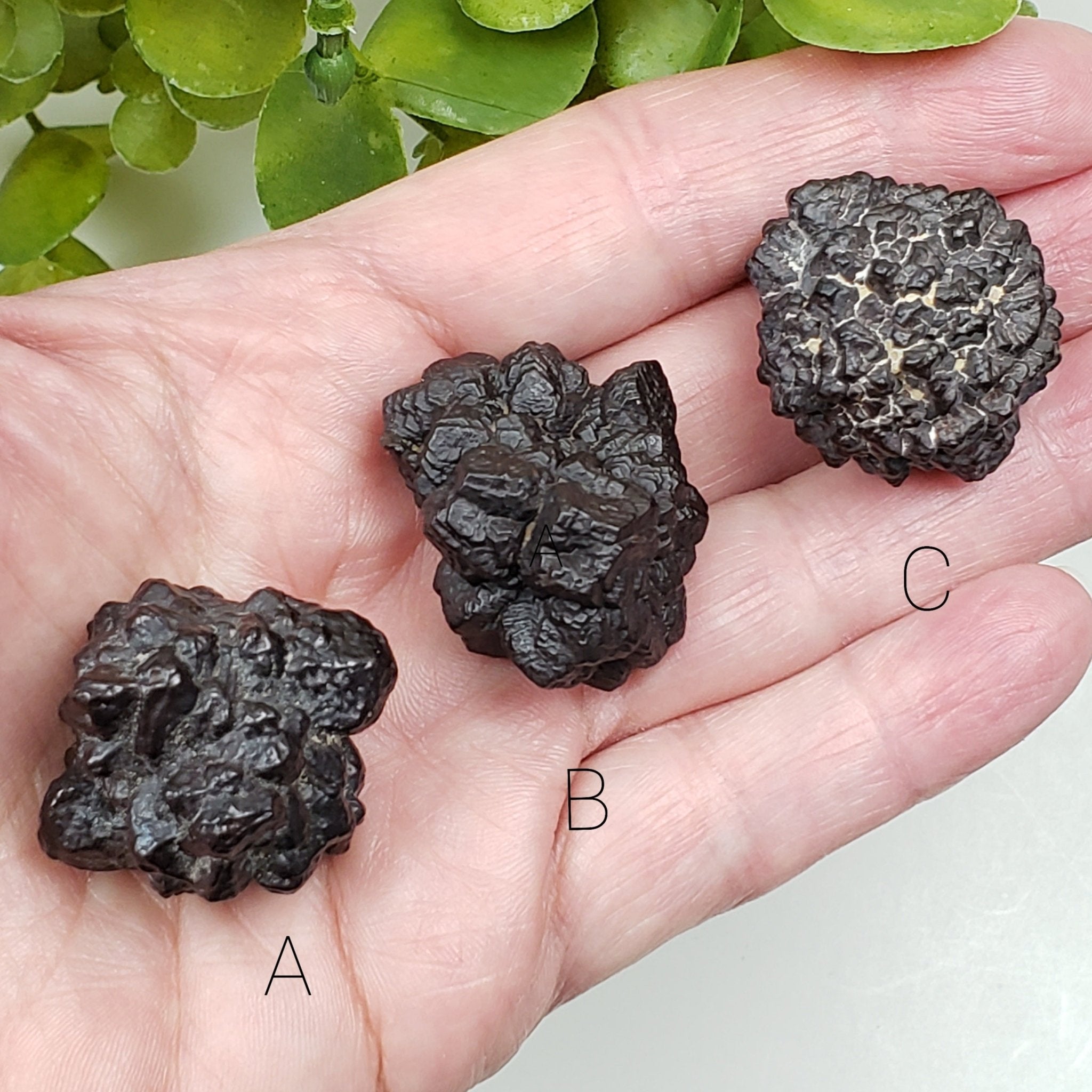 Pseudomorph Goethite After Marcasite | Prophecy Stone | 31 gr | Farafr