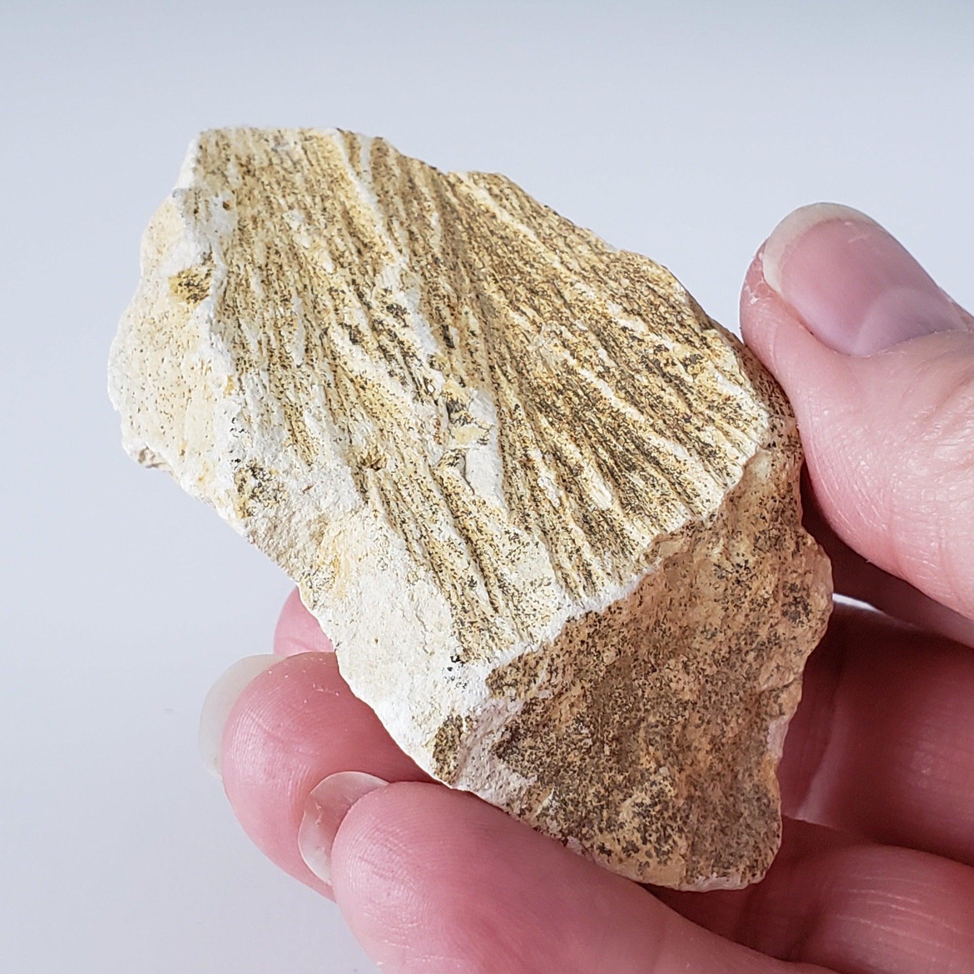 Shatter Cone Impactite | 78.3 grams | Steinheim Basin Impact Structure ...