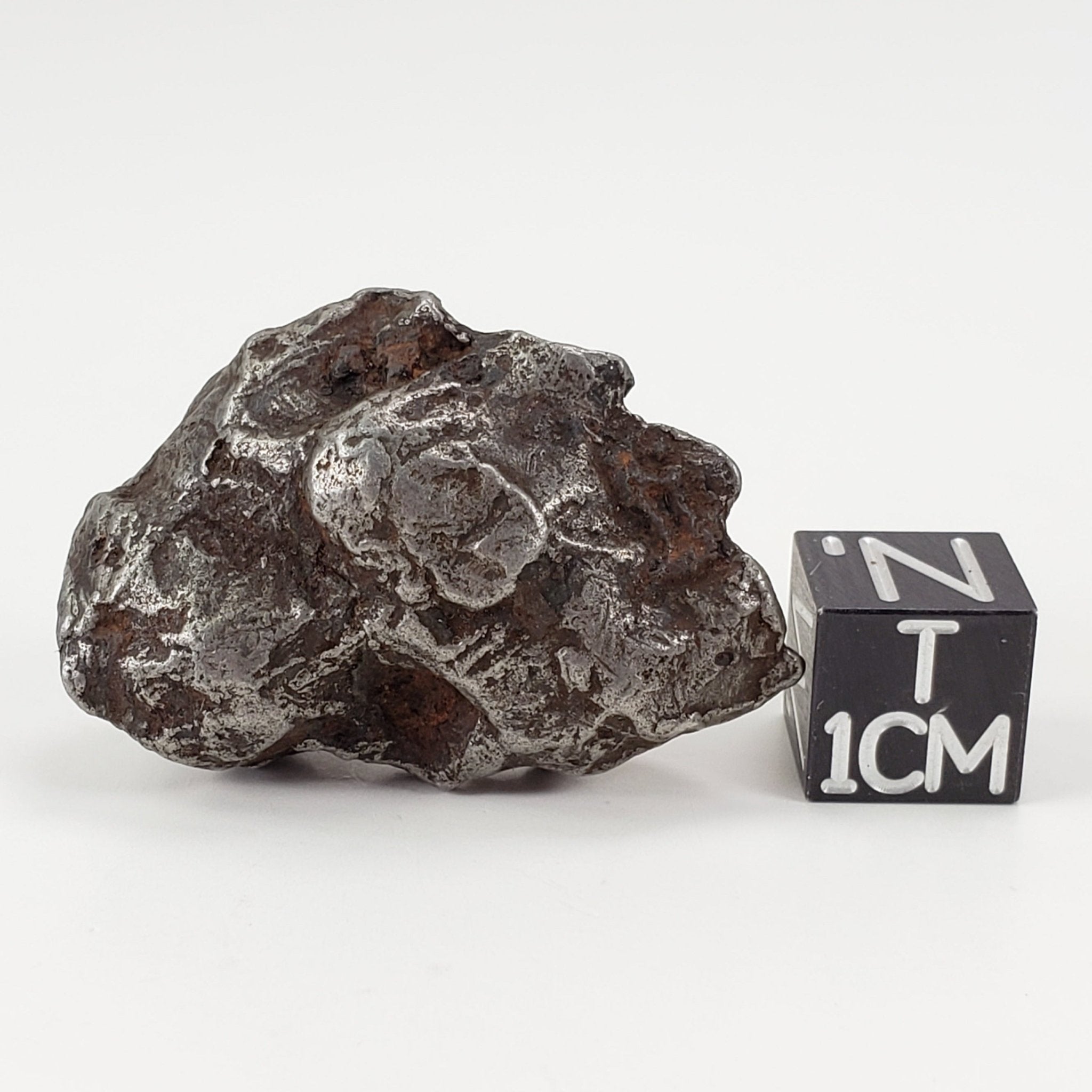 Sikhote-Alin Meteorite | 29.5 Grams | Individual | Iron IIAB | Shrapne