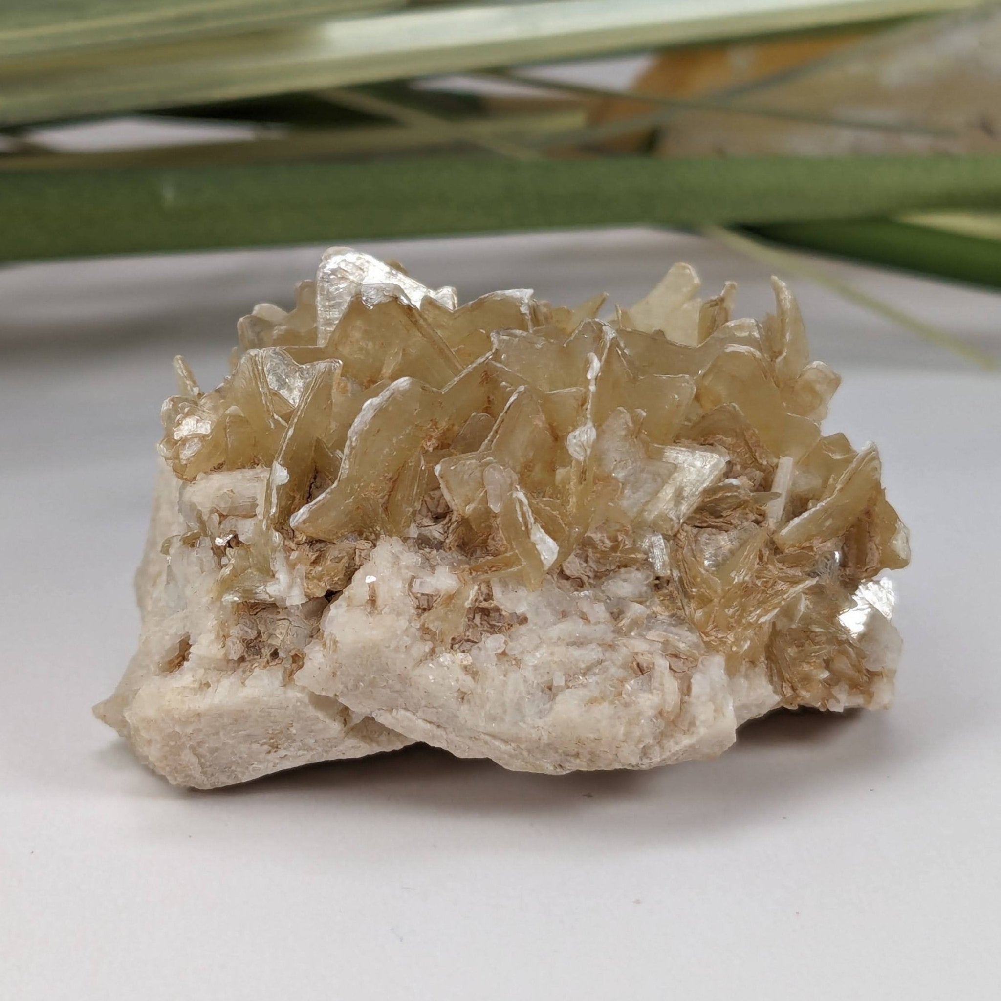 Star Mica Metamorphic Rock with Quartz | 43.2g | Muscovite | Brazil