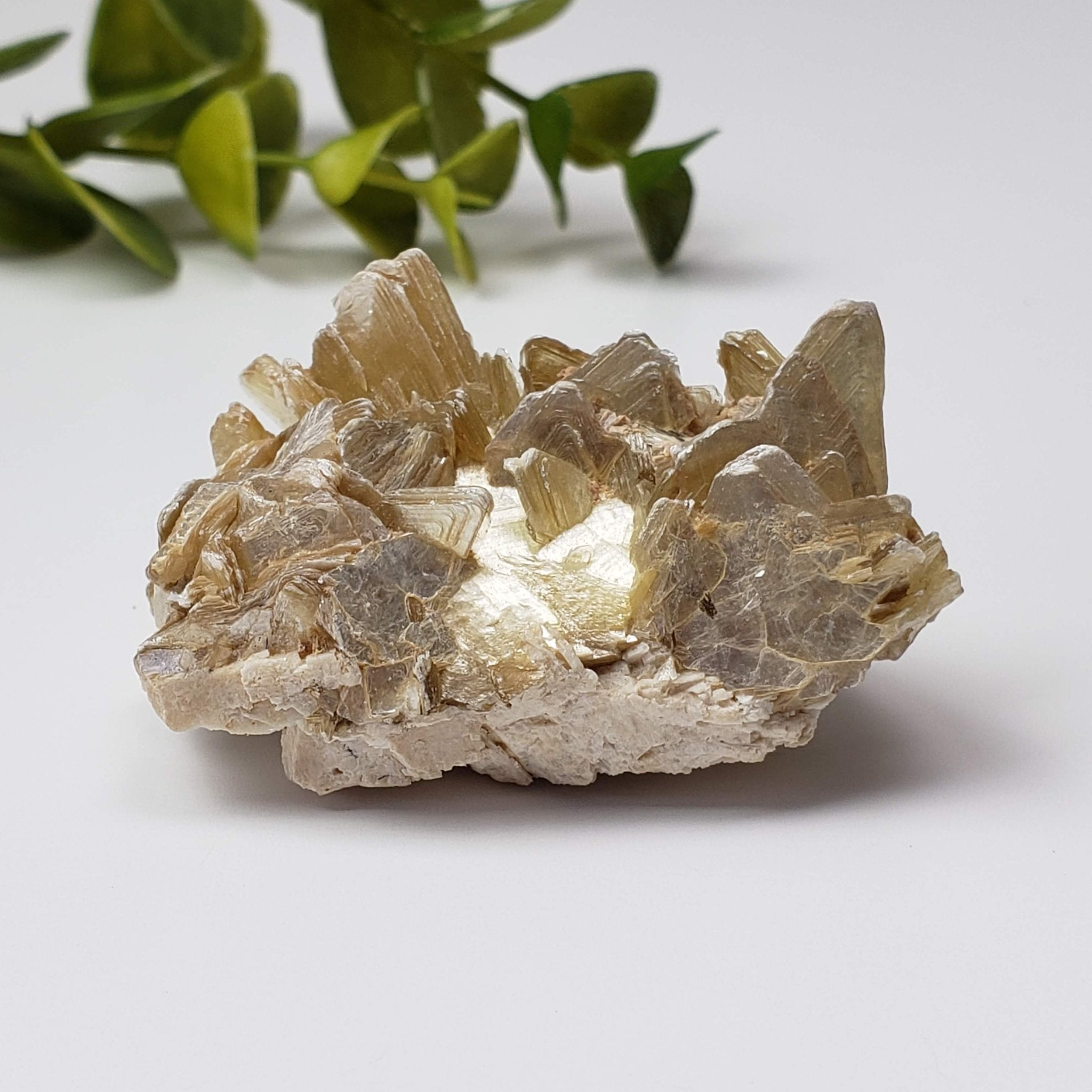 Star Mica Metamorphic Rock with Quartz | 43.7g | Muscovite | Brazil