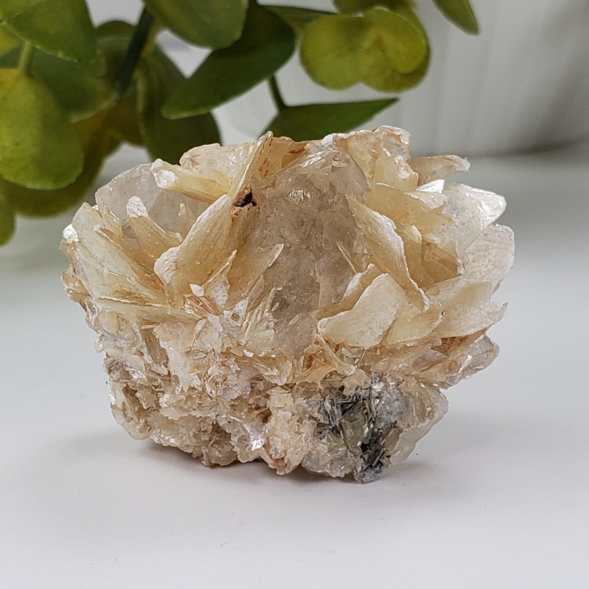 Star Mica Metamorphic Rock with Quartz | 44.7g | Muscovite | Brazil