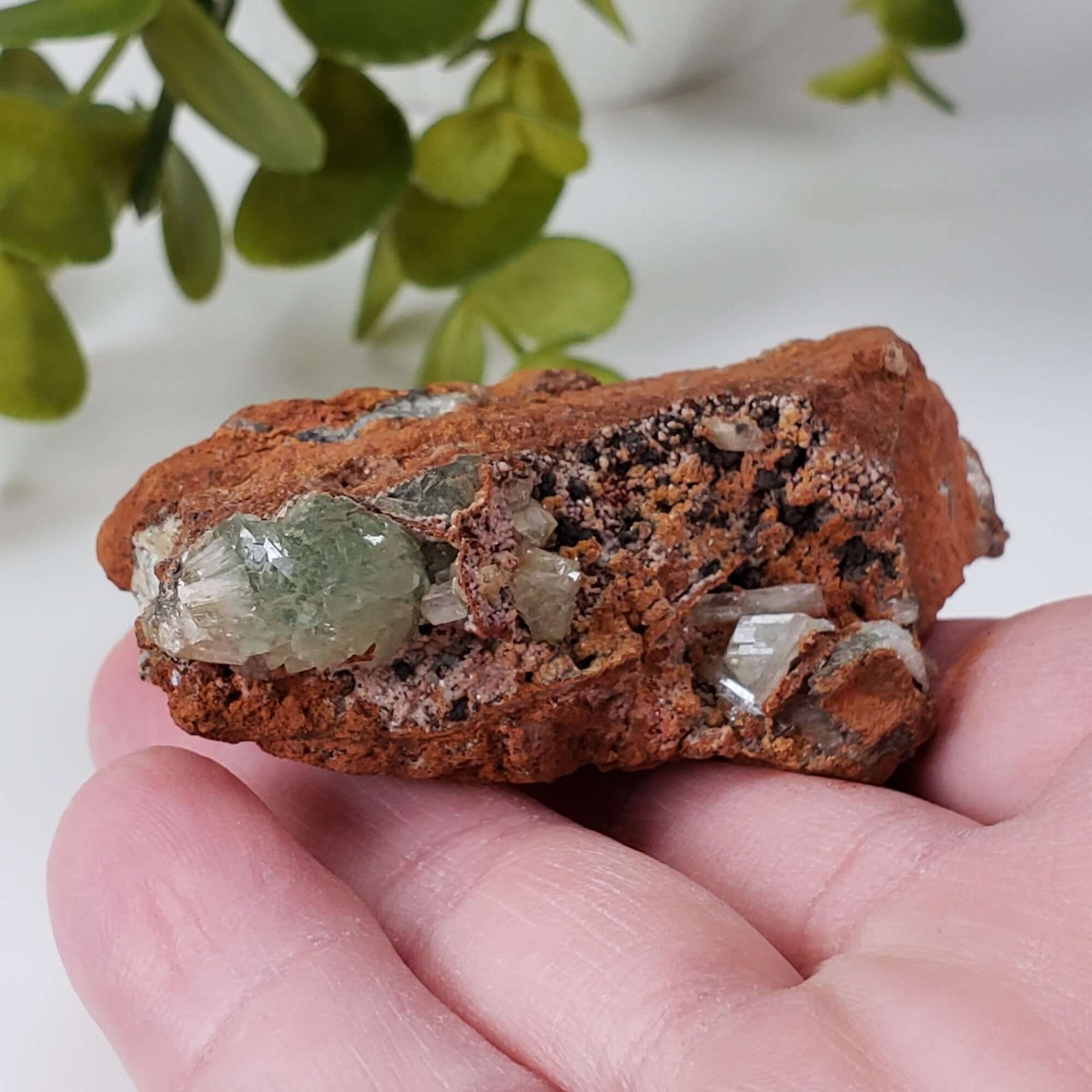 Adamite Crystals on Matrix mined at Mina Ojuela, Mexico