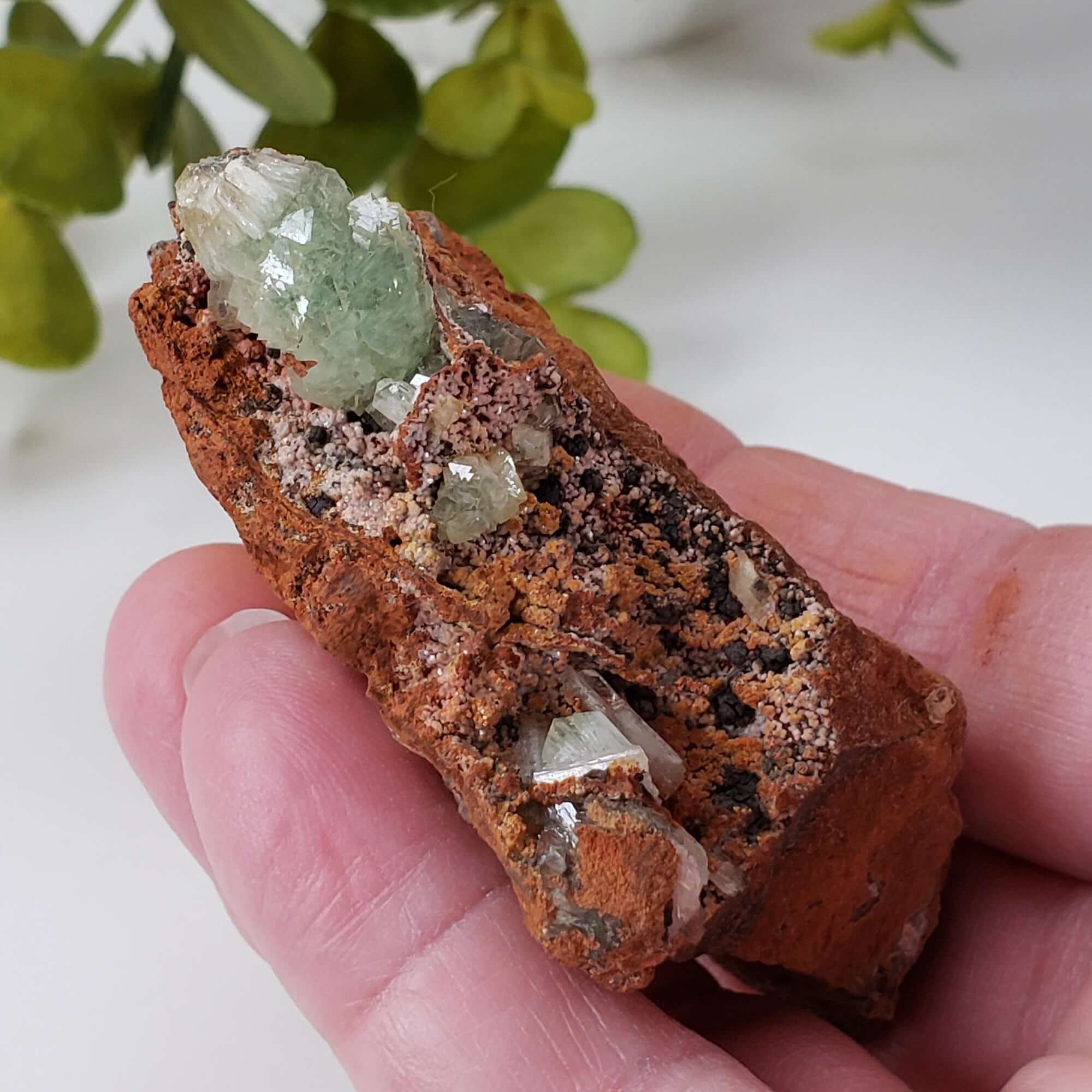 Adamite Crystals on Matrix mined at Mina Ojuela, Mexico