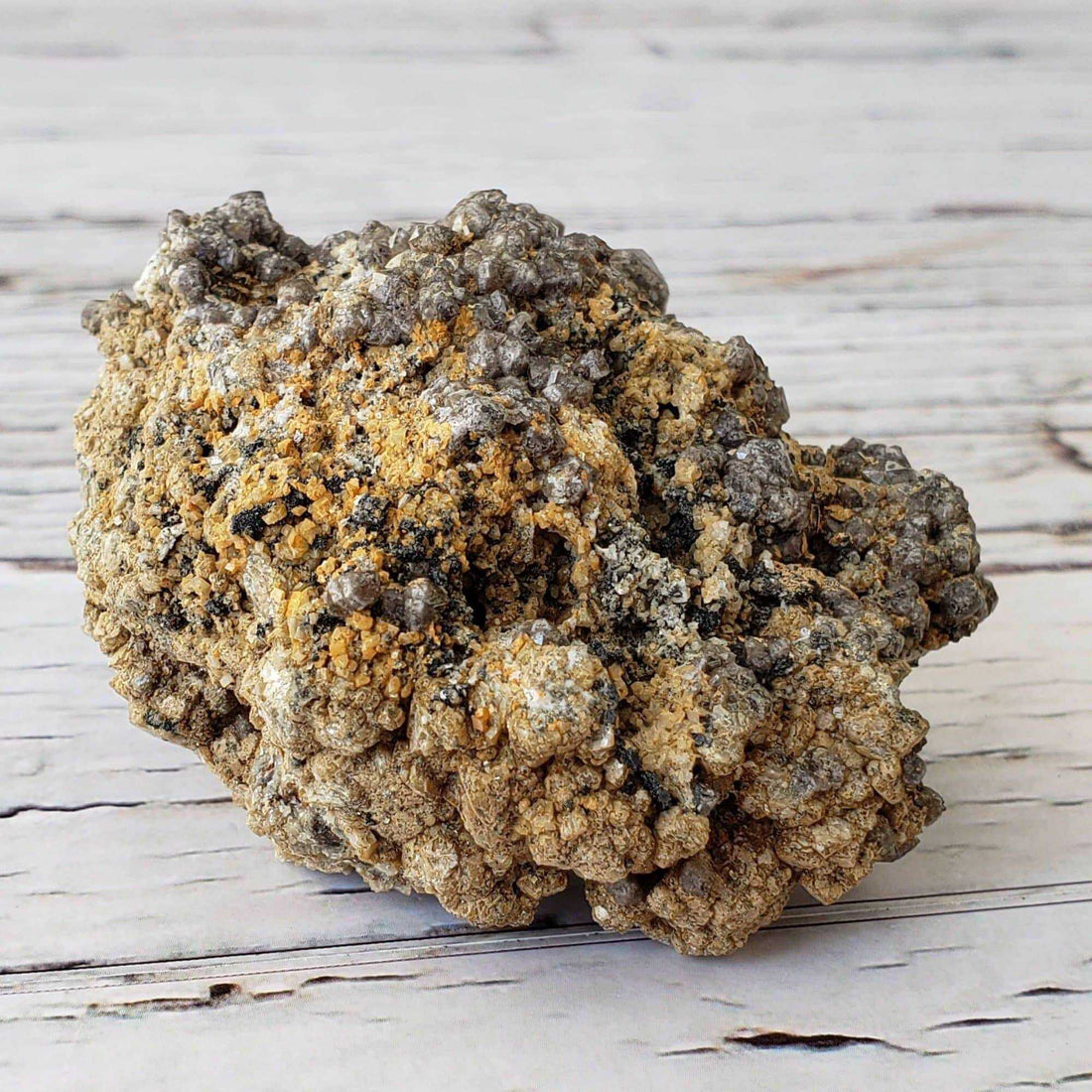 Impactite Fallback Breccia Steinheim Basin 77.2 gram Slice Ries, Germany