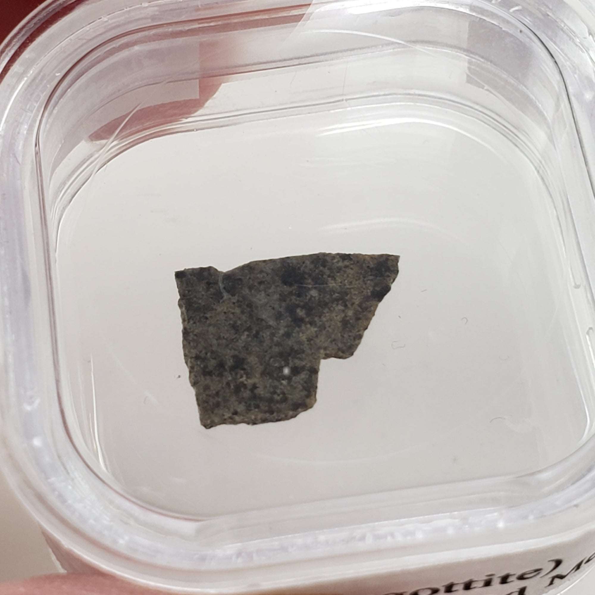 Dhofar 019 Meteorite | .360 Gr | Slice | Martian Basaltic Shergottite ...