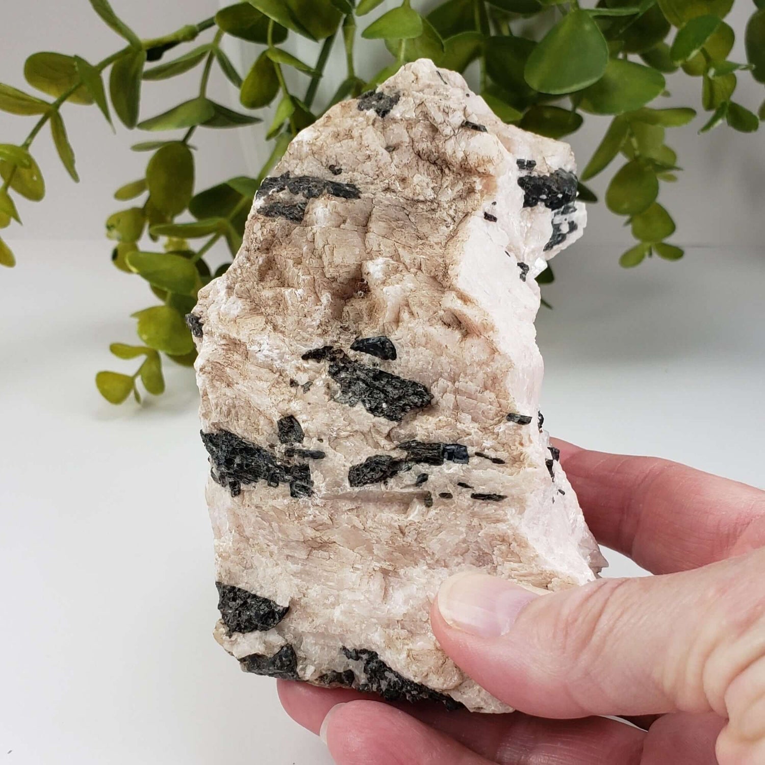 Fluor-Richterite on Calcite Matrix | Rare Mineral | 731 grams ...