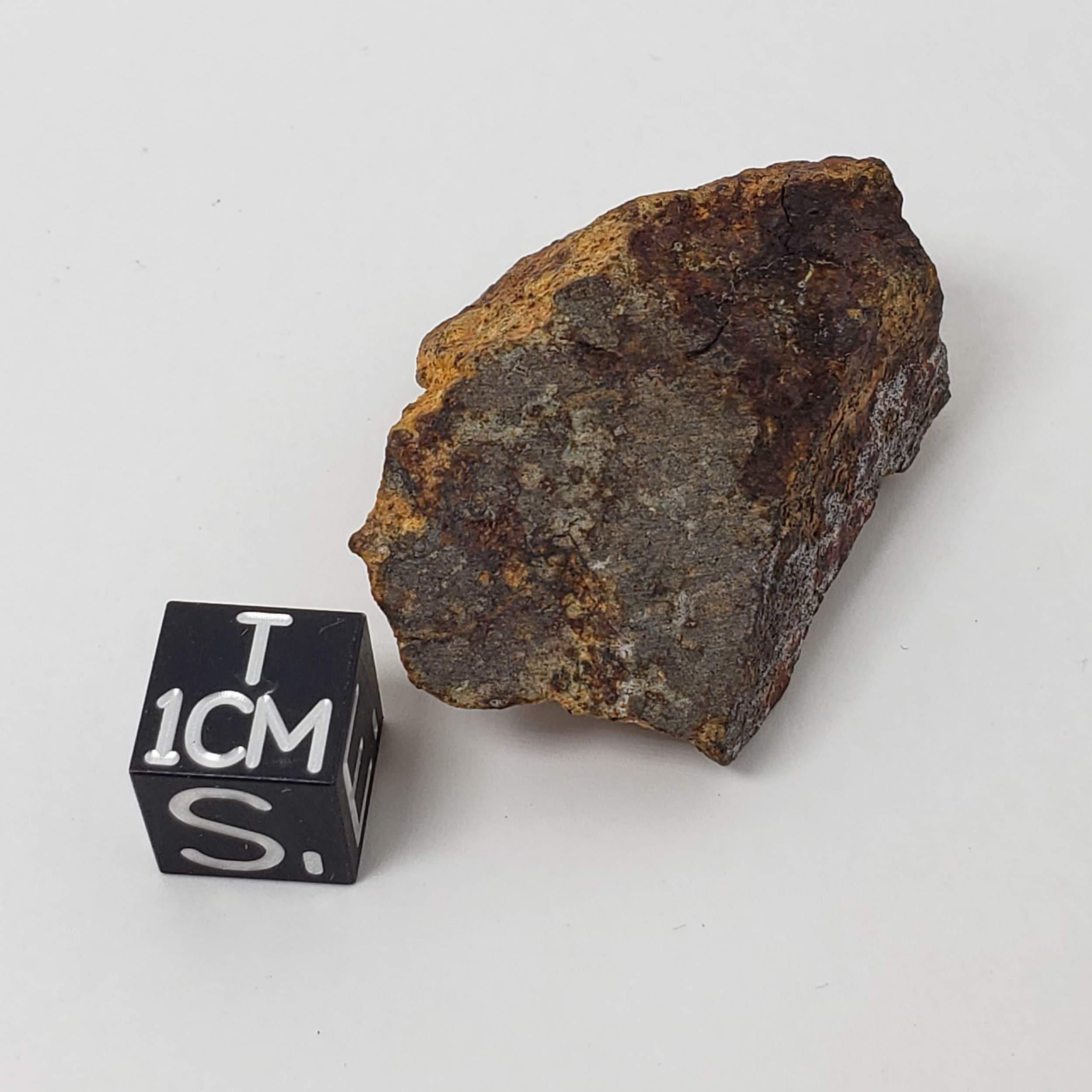Gold Basin Meteorite | 24.22 Grams | L4 Chondrite | Windowed | Arizona