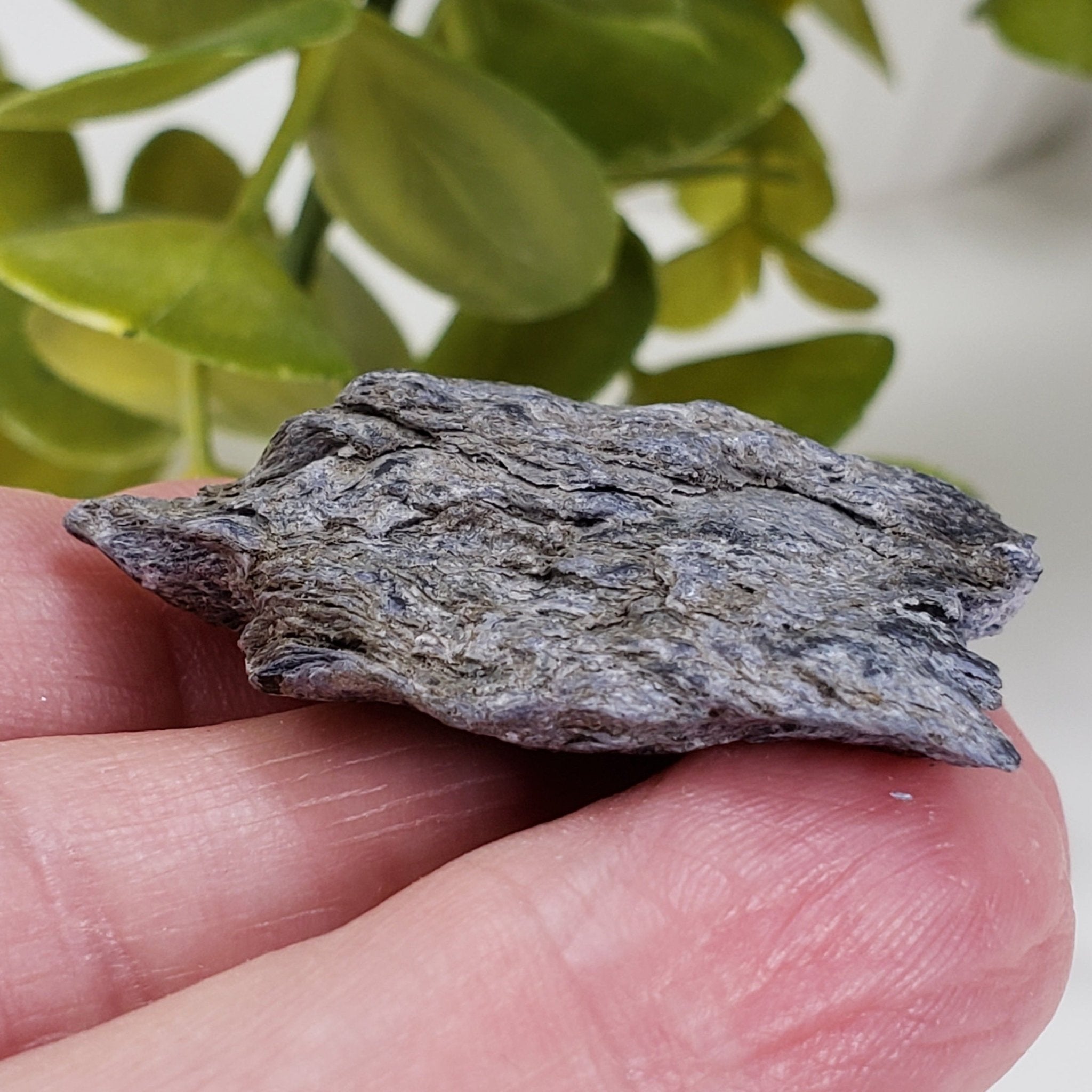Holmquistite | 14.7 grams | Quebec Lithium Mine, Barraute, Quebec