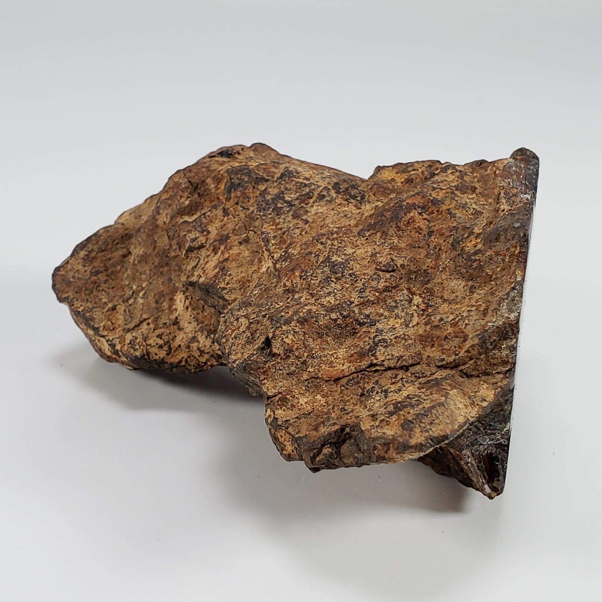 Northwest Africa NWA Meteorite | 229.6 Grams | End Cut | Sahara ...