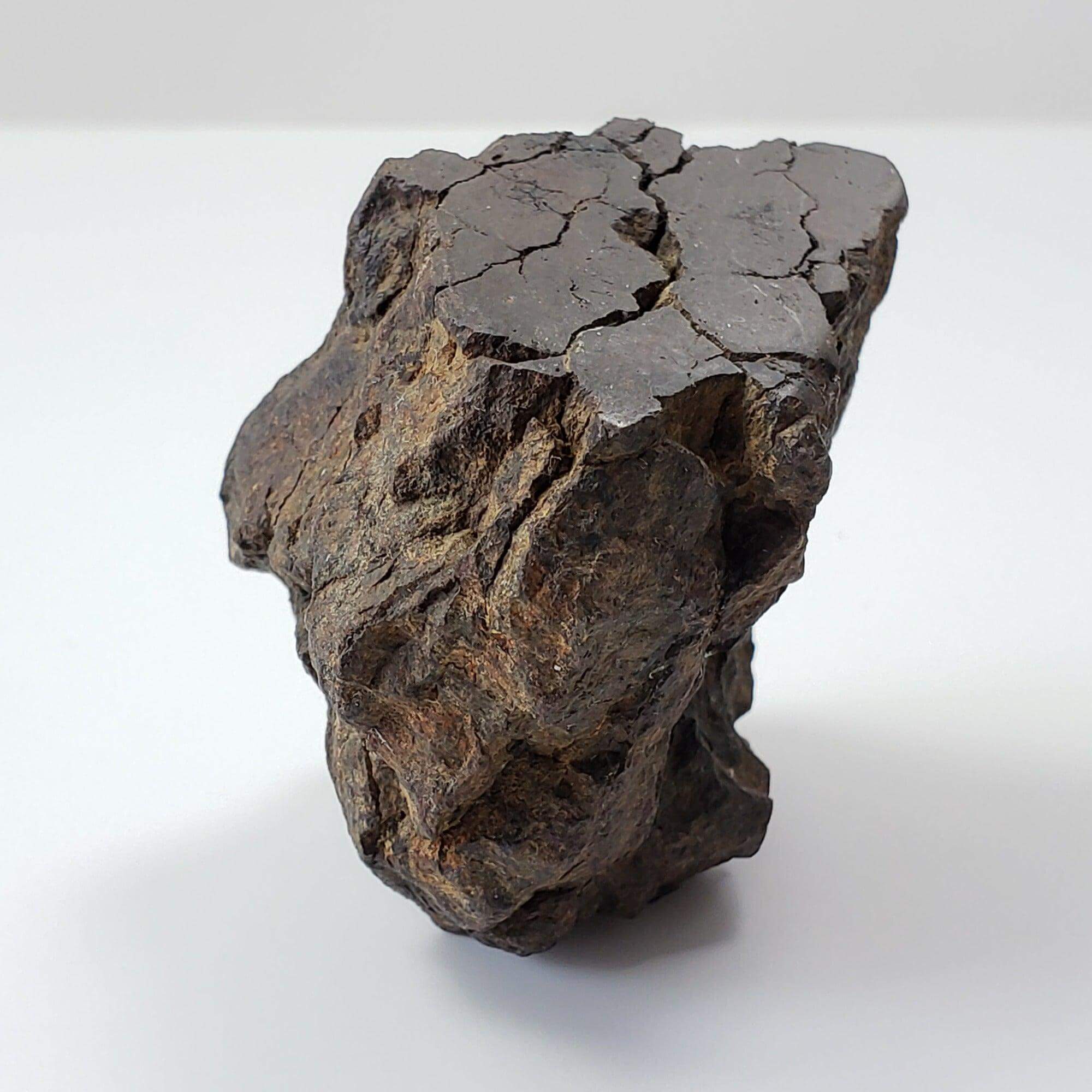 Northwest Africa NWA Meteorite | 354.5 Grams | End Cut | Sahara ...