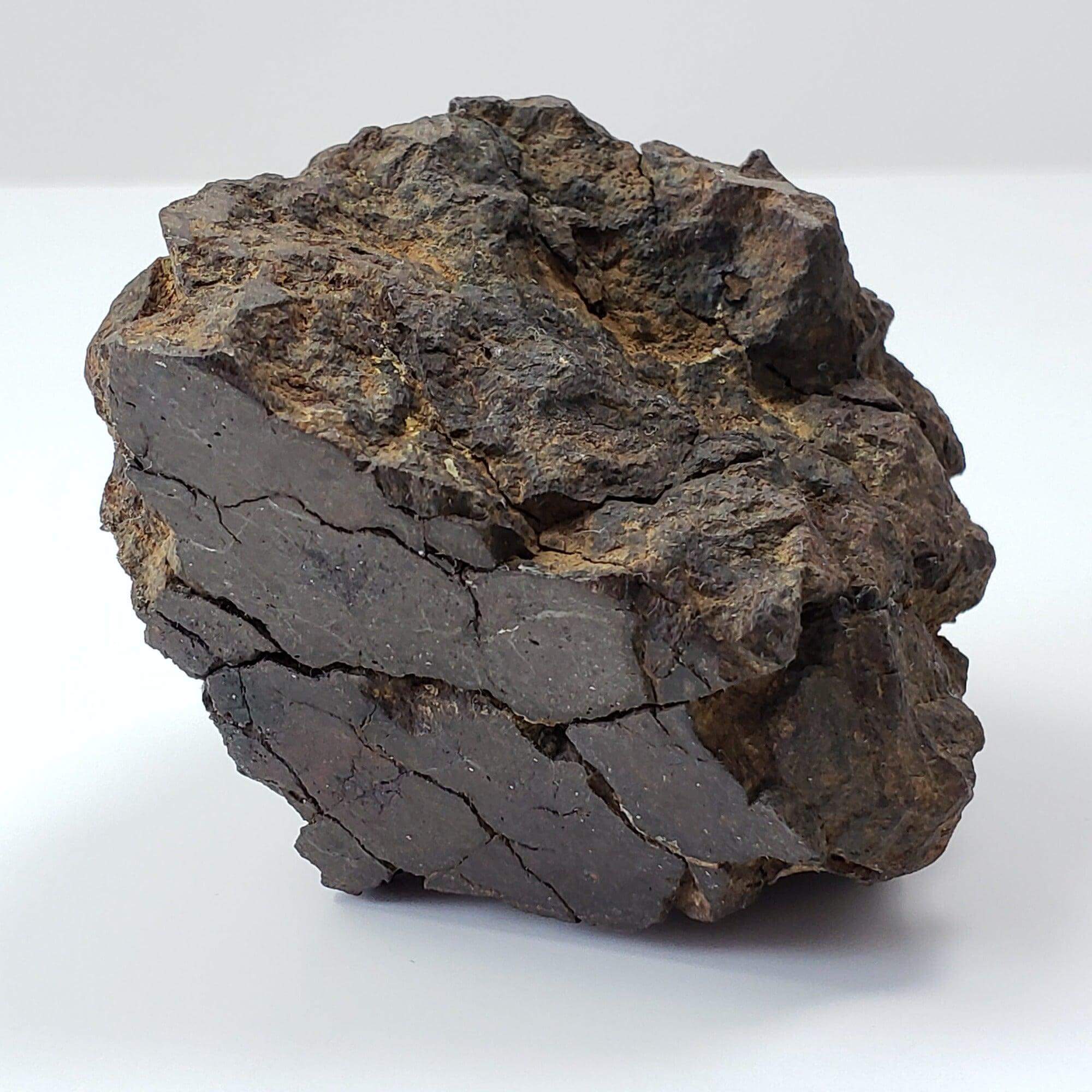 Northwest Africa NWA Meteorite | 354.5 Grams | End Cut | Sahara ...