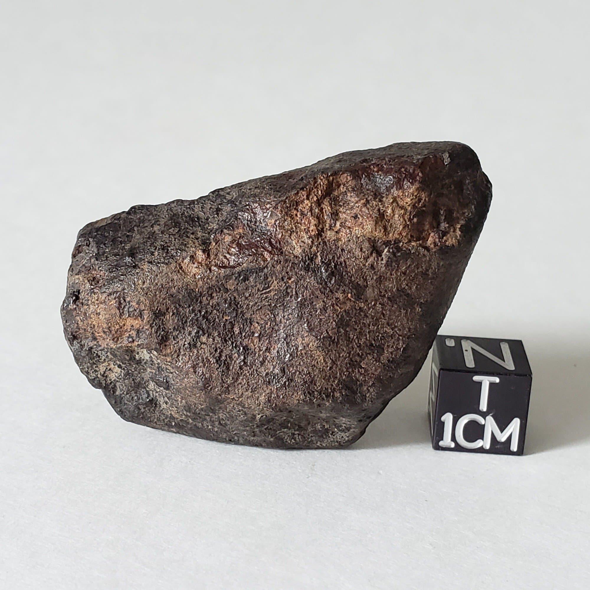 NWA 1108 Meteorite | 47.16 Gr | Individual | L6 Chondrite