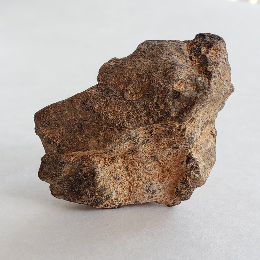 NWA 2965 Meteorite | 45.89 Grams | Individual | EL-Melt Rock | Fossil ...
