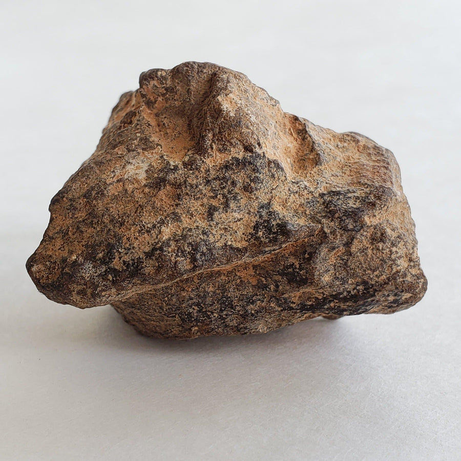 NWA 2965 Meteorite | 45.89 Grams | Individual | EL-Melt Rock | Fossil ...